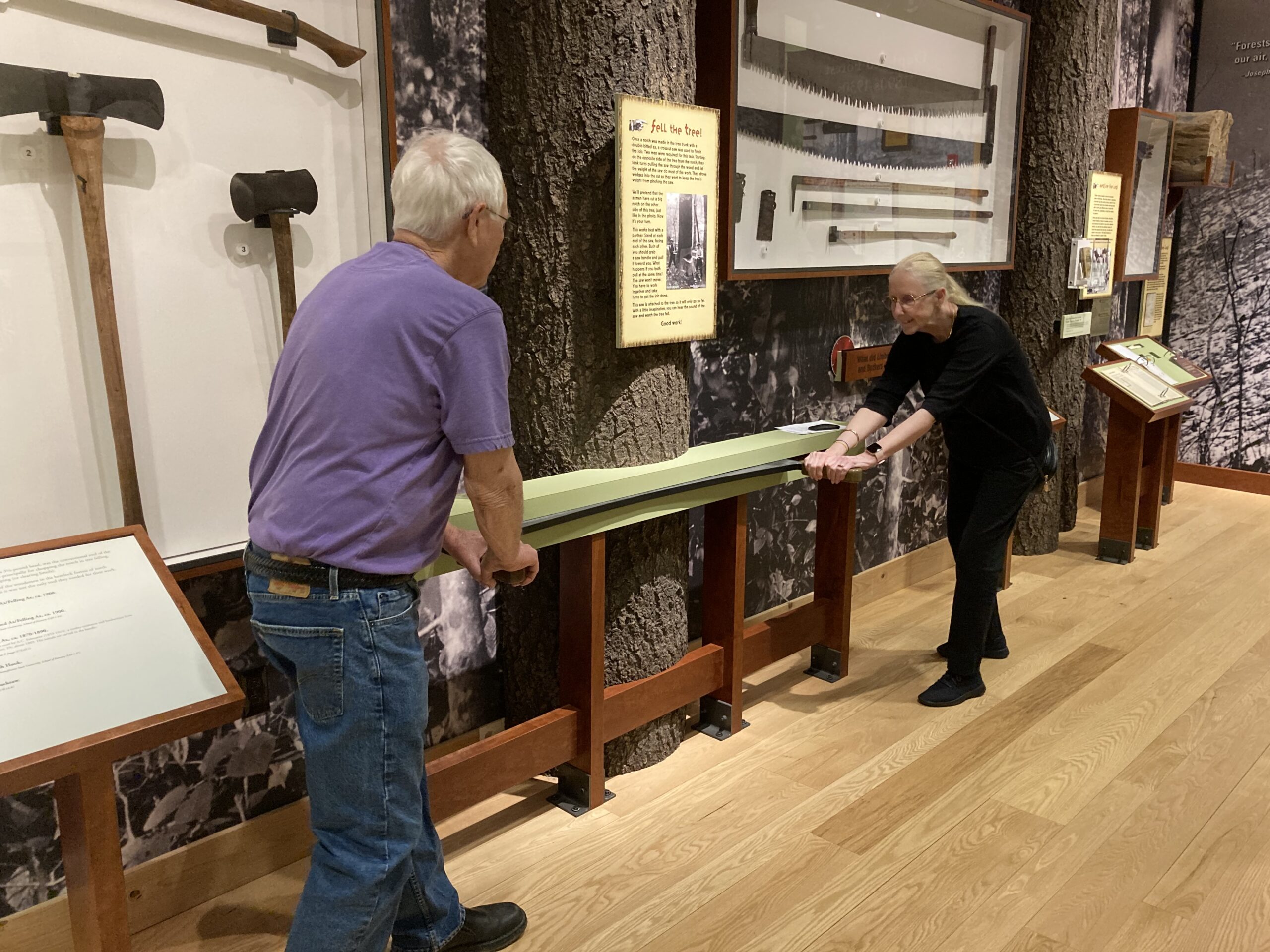 Site Information & Accessibility – Pennsylvania Lumber Museum